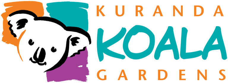 Kuranda Koala Gardens - Drive Queensland